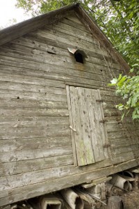 Seed House